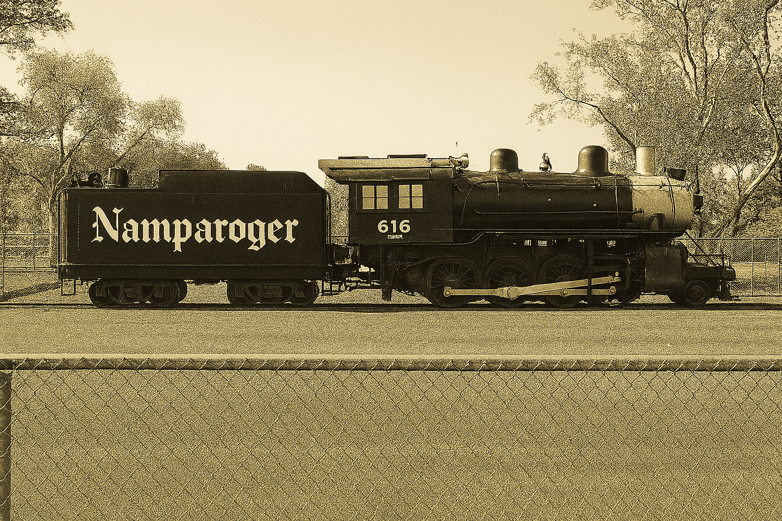 Roper Western Men's Shirts – Namparoger